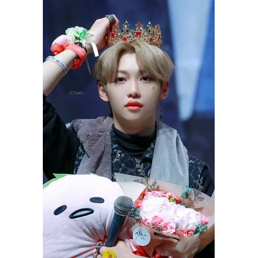 Sticker Maker - Stray Kids №13