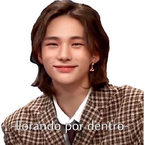 Sticker Maker - Stray Kids №20