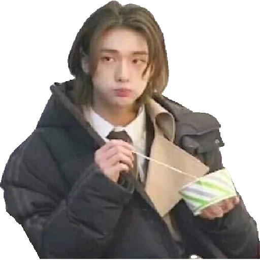 Sticker Maker - Stray Kids №20