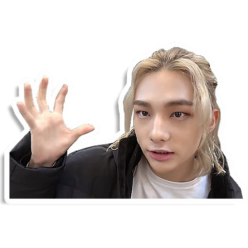 Sticker Maker - Stray Kids №26