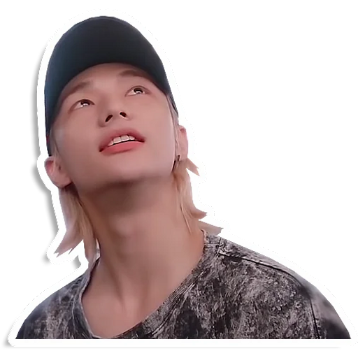 Sticker Maker - Stray Kids №26