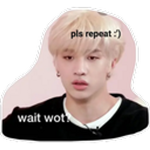Sticker Maker - stray kids