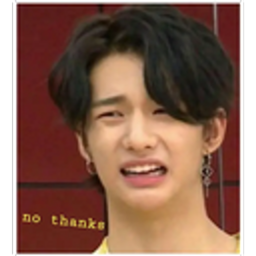 Sticker Maker - stray kids