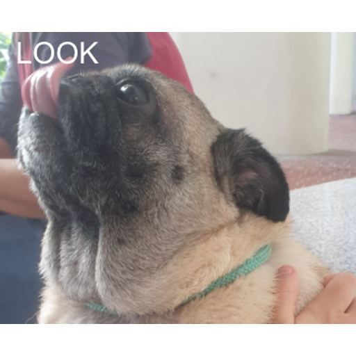 Sticker Maker - stuffstuff