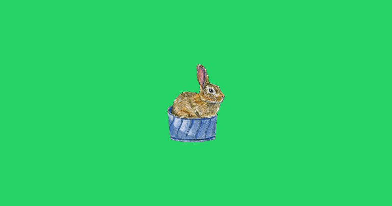 Sticker Maker - Suncoast House Rabbit Rescue