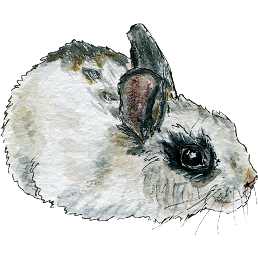 Sticker Maker - Suncoast House Rabbit Rescue