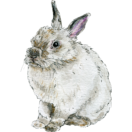 Sticker Maker - Suncoast House Rabbit Rescue