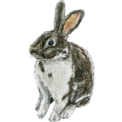 Sticker Maker - Suncoast House Rabbit Rescue