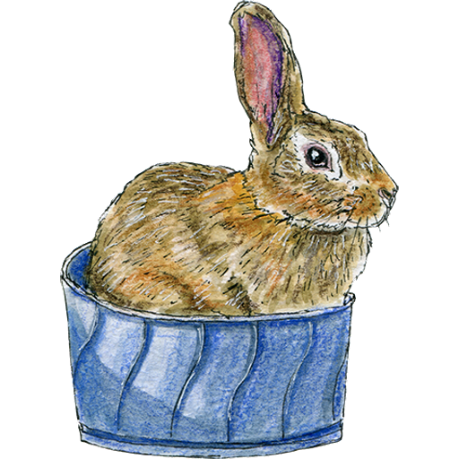 Sticker Maker - Suncoast House Rabbit Rescue