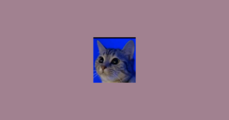 Sticker Maker - sweet meme cats