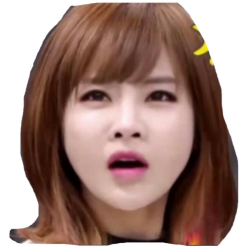 Sticker Maker - tara