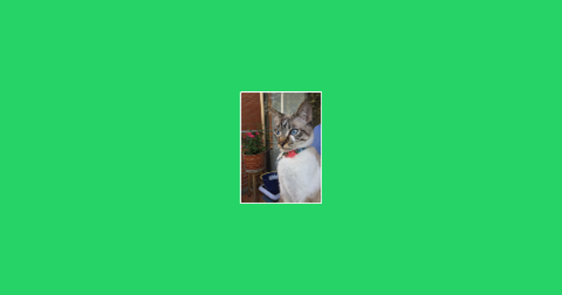 Sticker Maker - Tequila Stickers