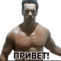 Sticker Maker - Terminator