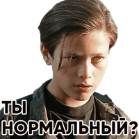 Sticker Maker - Terminator