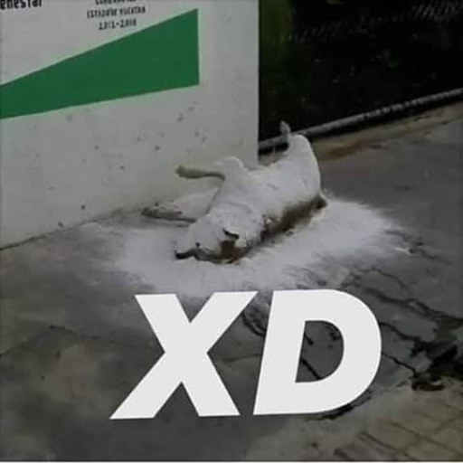 Sticker Maker - The Art of "XD"