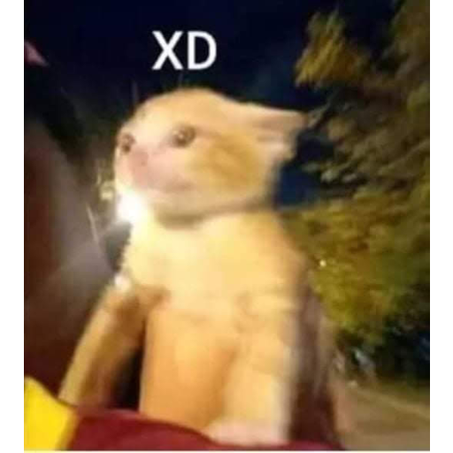 Sticker Maker - The Art of "XD"