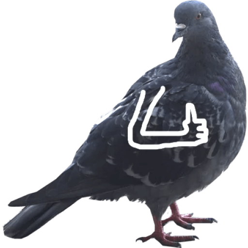 Sticker Maker - The pigeon memes