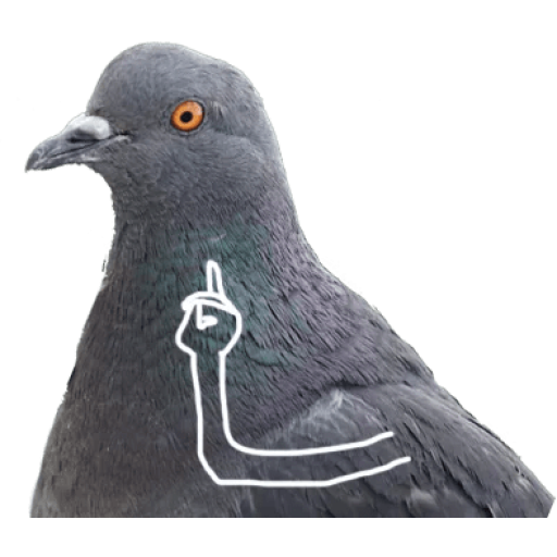Sticker Maker - The pigeon memes