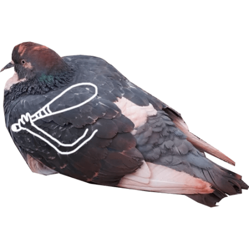 Sticker Maker - The pigeon memes