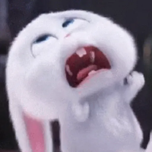 Sticker Maker - Tierno