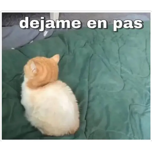 Sticker Maker - Tierno