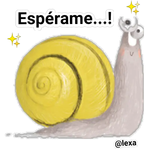 Sticker Maker - Tierno? ️
