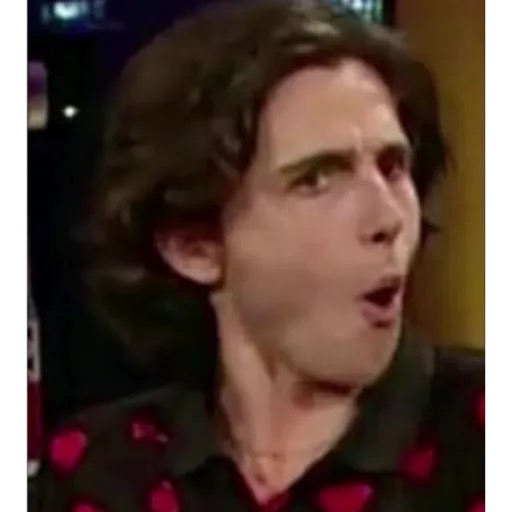 Sticker Maker - Timothee C