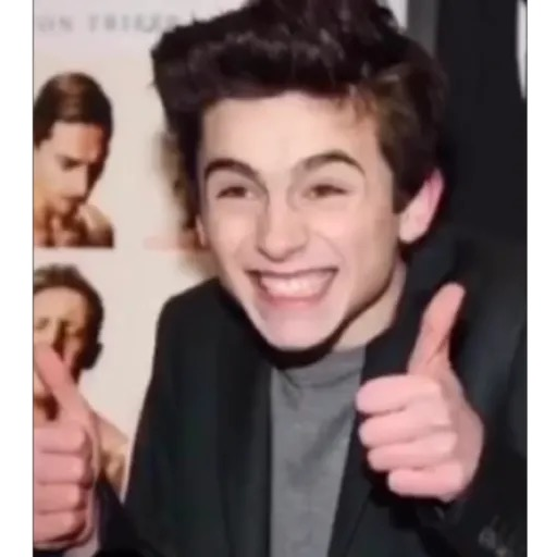 Sticker Maker - Timothee C