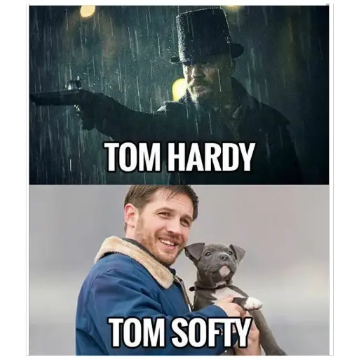 Sticker Maker - tom hardy