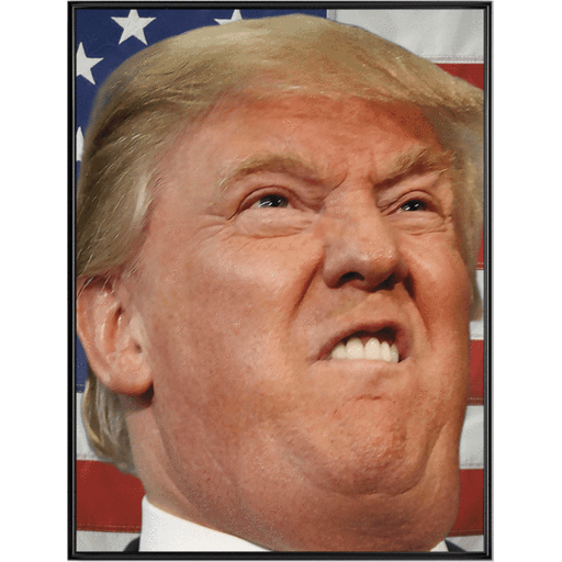 Sticker Maker - Trump Stickers