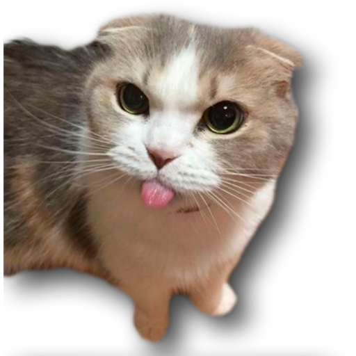 Sticker Maker - Tu cola >:p