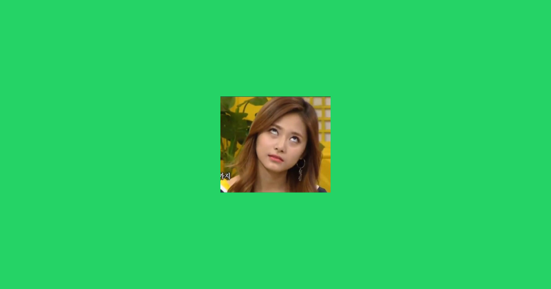 Sticker Maker - Twice o las dos veces kpop