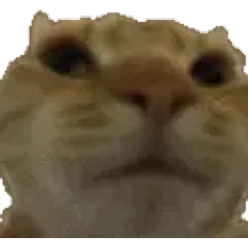 Sticker Maker - Twitch memes