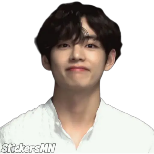 Sticker Maker - V - BTS