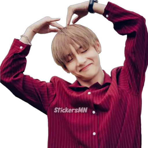 Sticker Maker - V - BTS