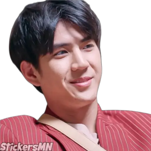 Sticker Maker - Vice Versa