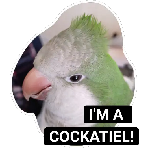 Sticker Maker - WASABI GROOT