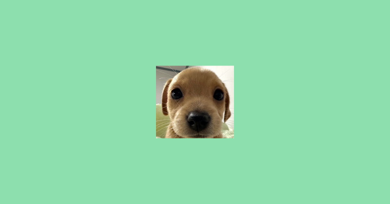 Sticker Maker - Waza