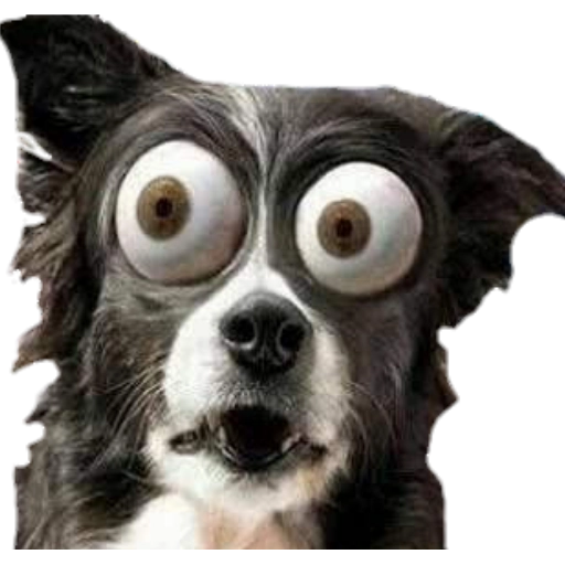 Sticker Maker - Whaaaat???