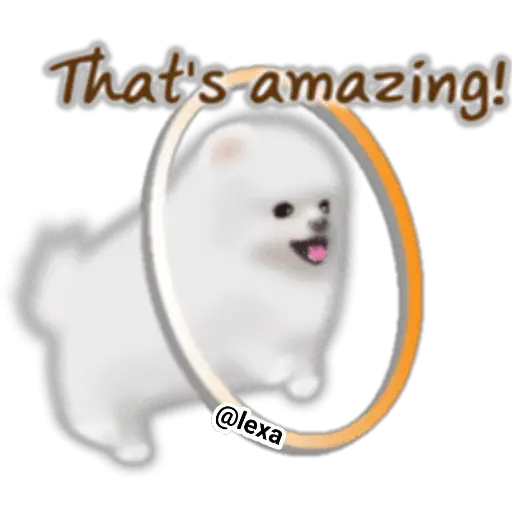 Sticker Maker - ?WHITE baby DOG?