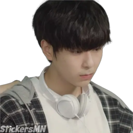 Sticker Maker - Why R U