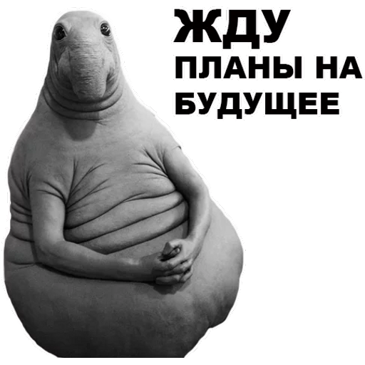 Sticker Maker - Ждун №7