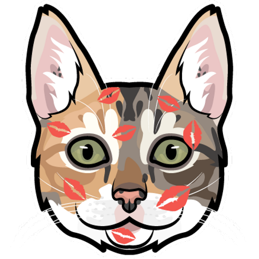 Sticker Maker - Zelda, Ella, Evie, Bailey, Leyla and Pixie